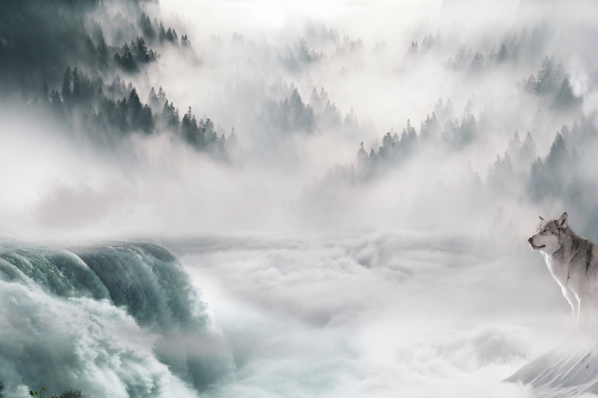 The Amarok Wolf – Inuit Mythology | Mythology Planet