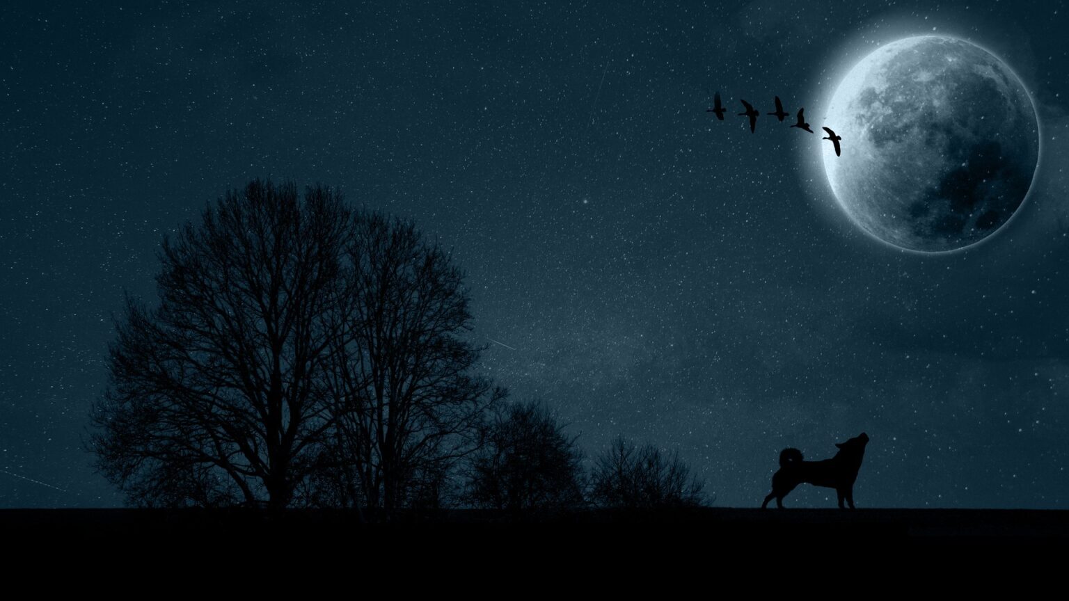 What is Itsumade – The Monstrous Japanese Bird | Mythology Planet